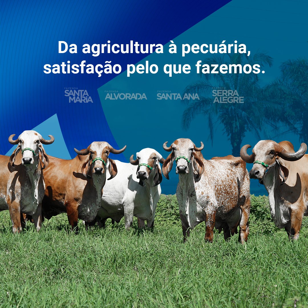 Home - Grupo Monte Azul